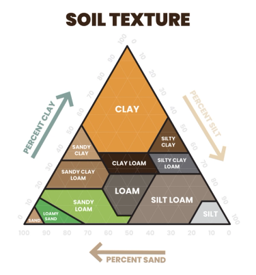 What Is Soil Structure? Definition & Importance | Sunday Lawn Care