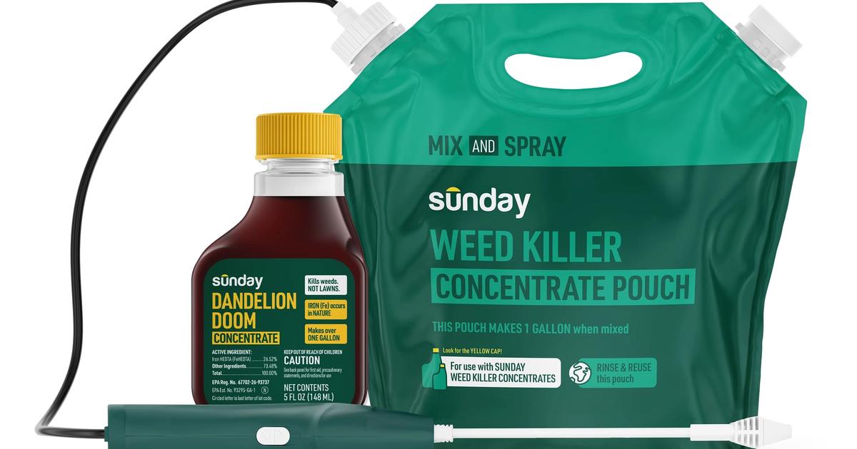 Dandelion Doom Lawn Weed Killer Starter Pack | Sunday Lawn Care