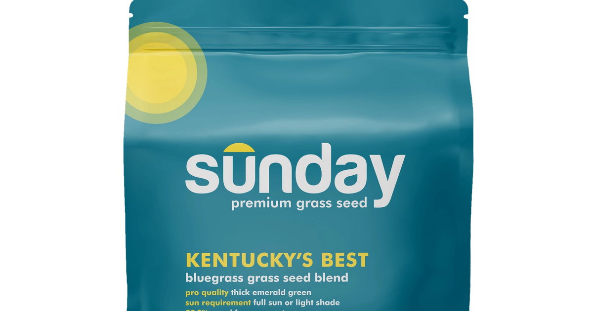 Kentucky's Best Grass Seed | Sunday Lawn Care