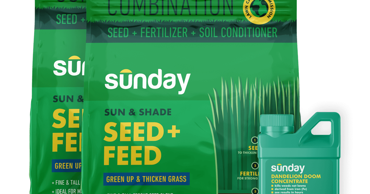 Weed, Seed & Feed Your Lawn Kit | Sunday Lawn Care