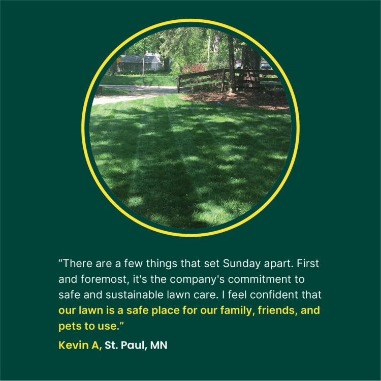 Weed and Grass Killer Concentrate Refill 2-Pack | Sunday Lawn Care