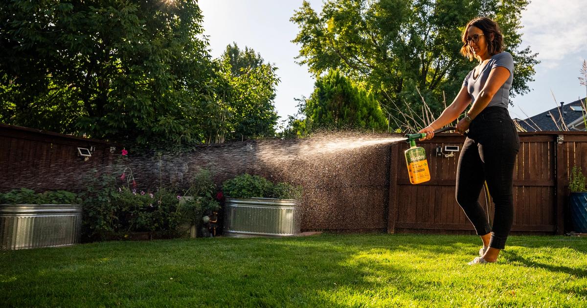 Best Time to Apply Lawn Fertilizer: Complete Guide 2025 | Sunday Lawn Care