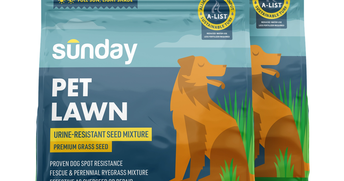 Pet Lawn Grass Seed (2-Pack) | Sunday Lawn Care