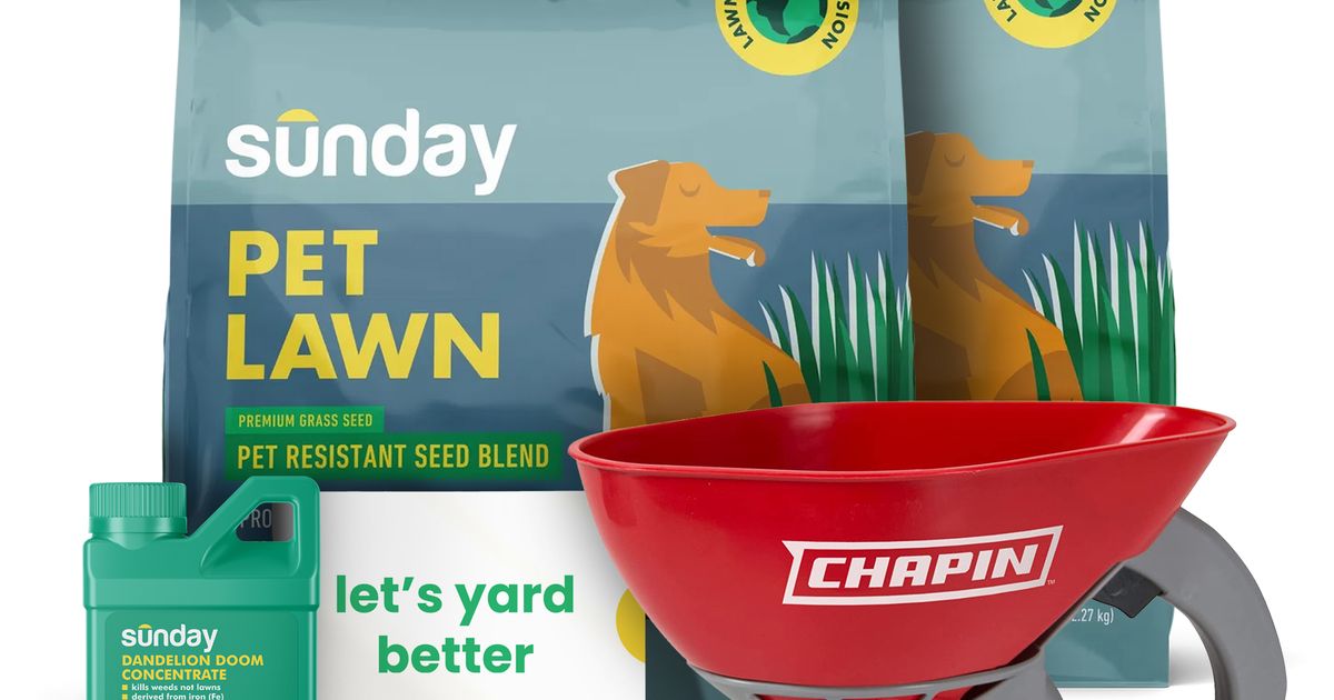 Fall Pet Lawn Grass Seeding Kit | Sunday Lawn Care