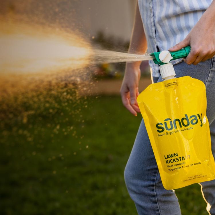 Start Your Lawn from Scratch Kit | Sunday Lawn Care