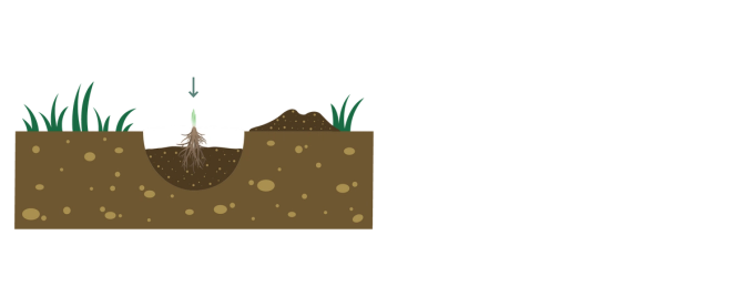 Natural Garden Soil Mix Instructions | Sunday Lawn Care