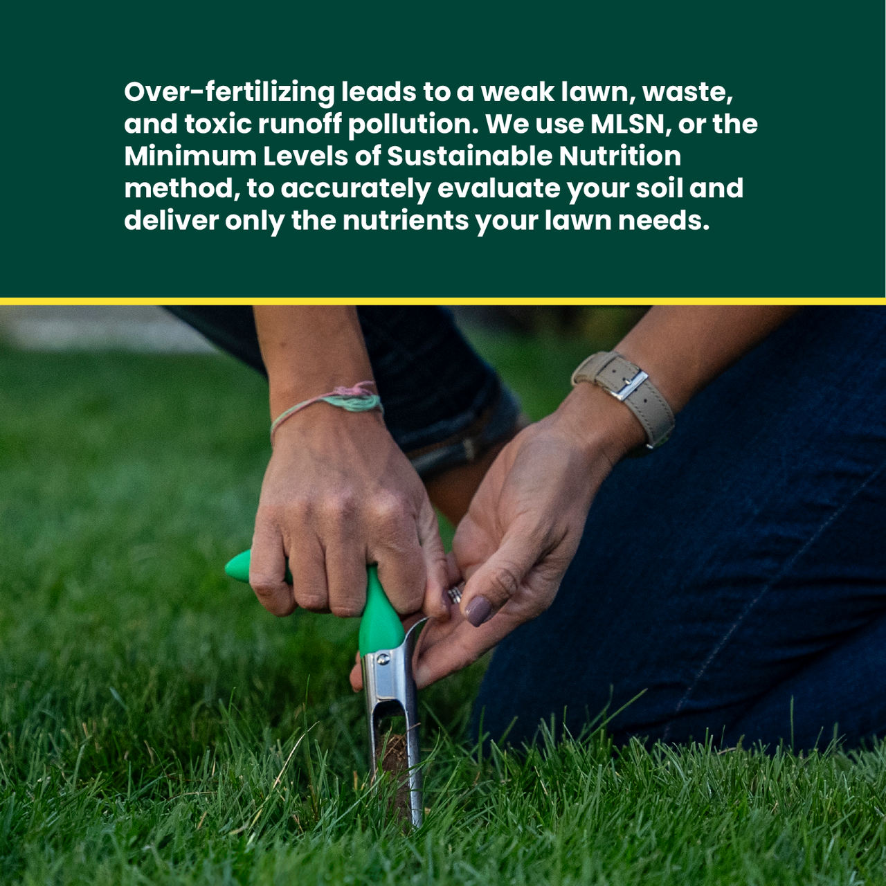 Fall Fortify Plus Liquid Lawn Fertilizer | Sunday Lawn Care