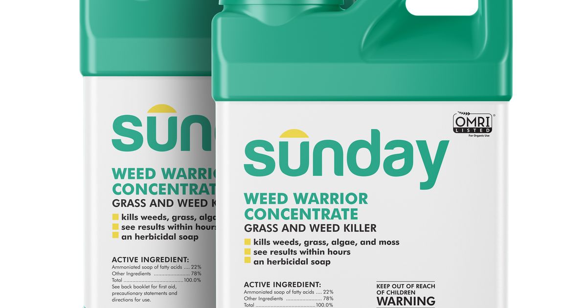Weed and Grass Killer Concentrate Refill 2-Pack | Sunday Lawn Care
