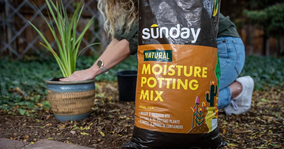 Natural Moisture Potting Mix Instructions | Sunday Lawn Care