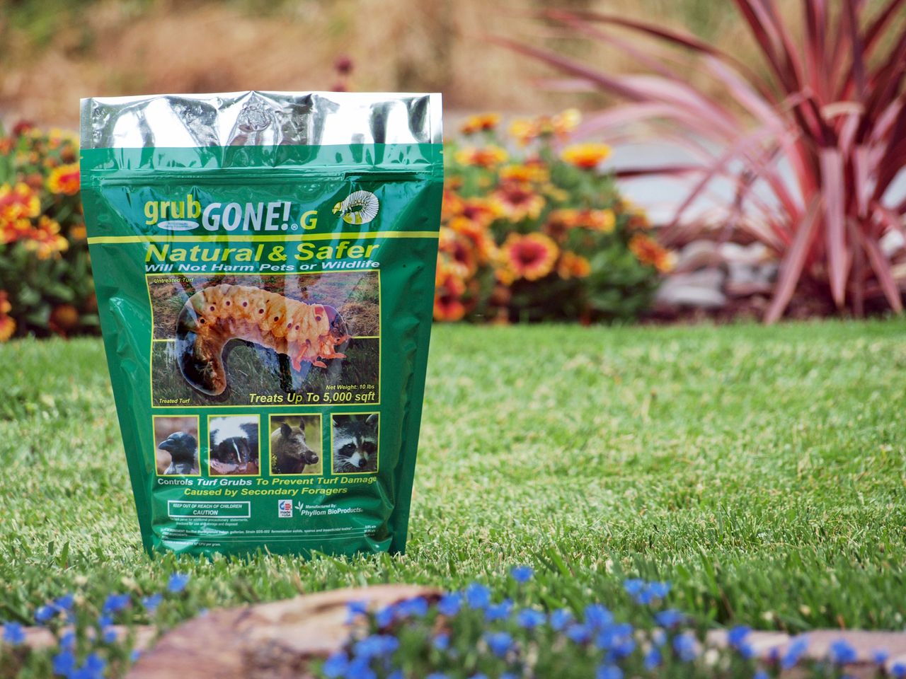 grubGONE! Biological Insect Control | Sunday Lawn Care