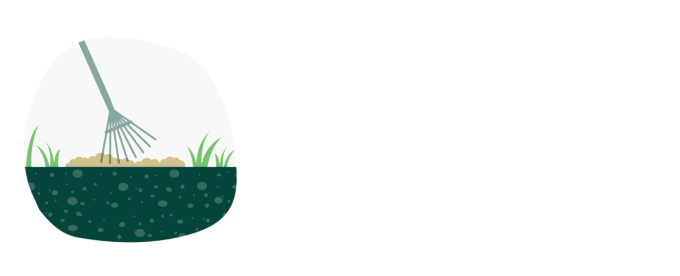 How to Seed Your Lawn with Sunday Grass Seed | Sunday Lawn Care