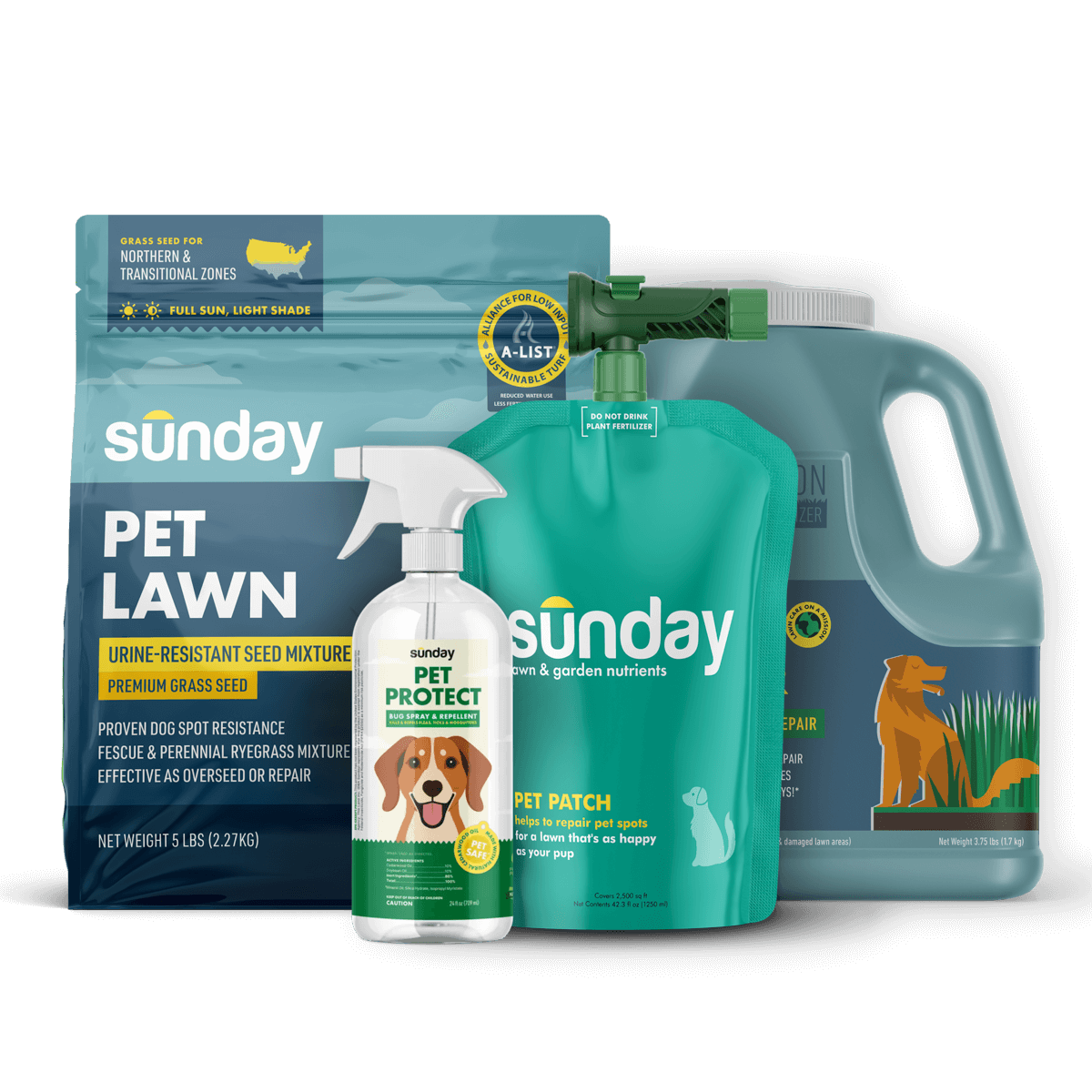 Lawn Care | Sunday Lawn Care