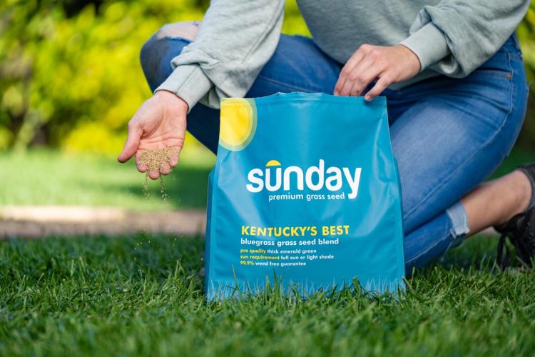 Kentucky's Best Grass Seed (2-pack) | Sunday Lawn Care