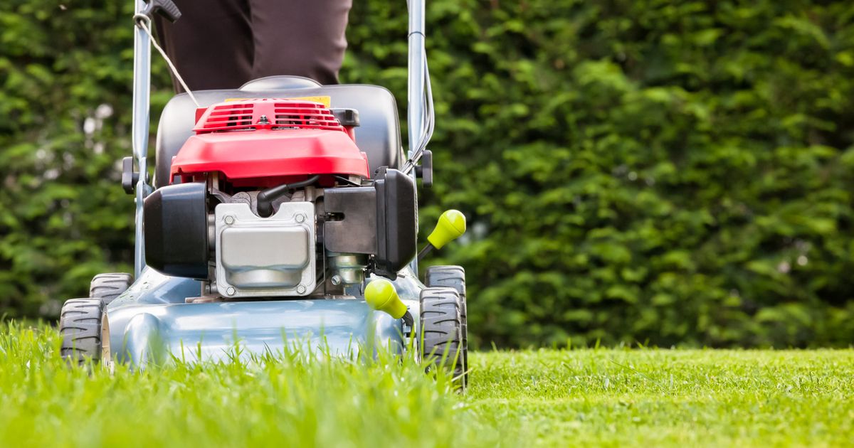 Best Time to Mow the Lawn | Sunday Lawn Care