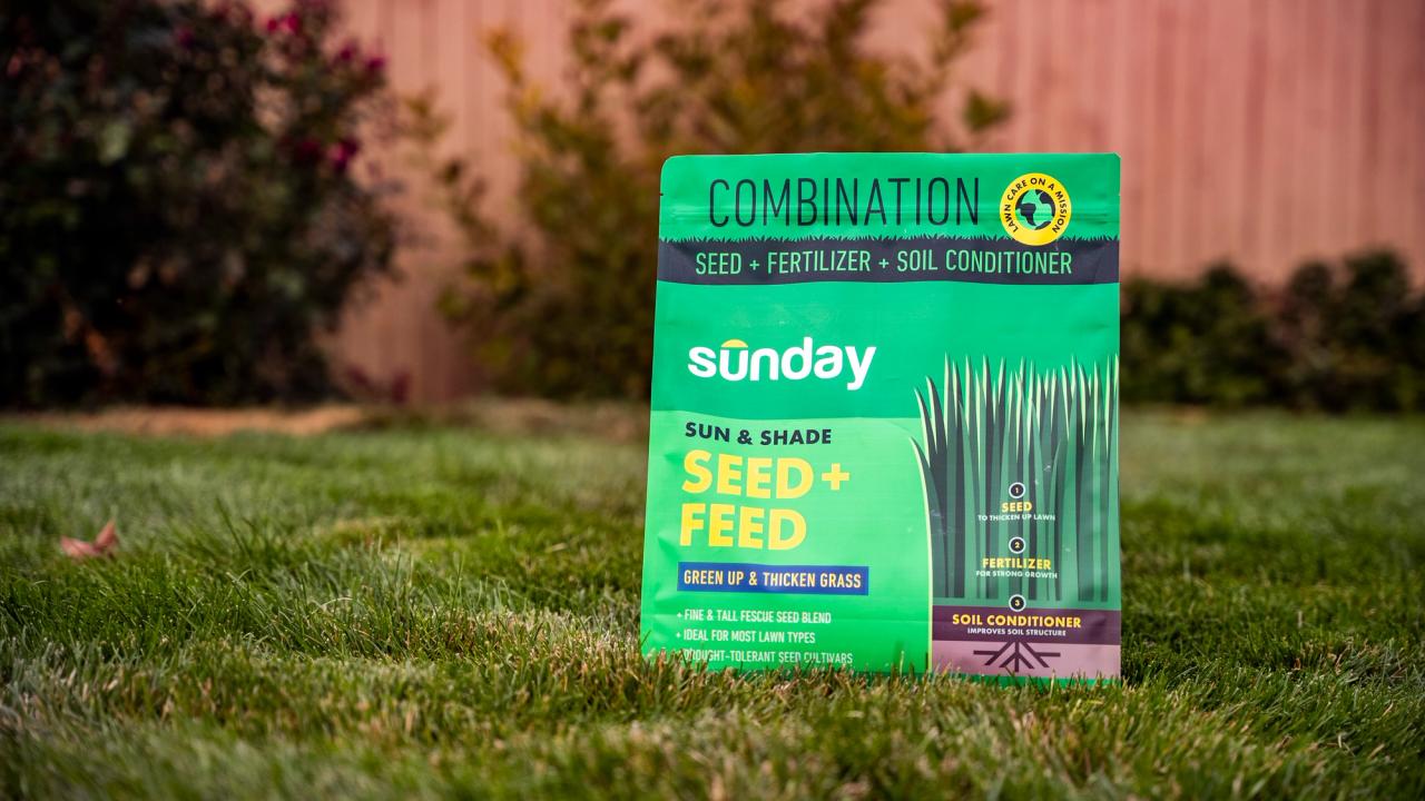 Sun & Shade Seed + Feed (2-pack) | Sunday Lawn Care