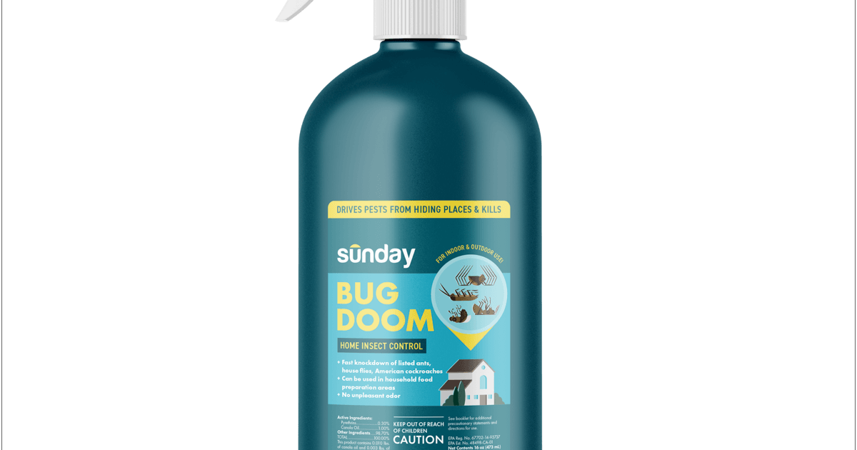 Bug Doom Indoor Insect Control Spray, 16 oz – No Harsh Chemicals ...