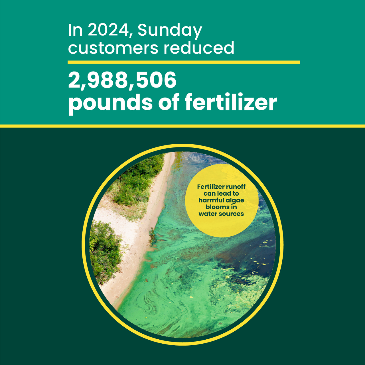 Fall Fortify Plus Liquid Lawn Fertilizer | Sunday Lawn Care