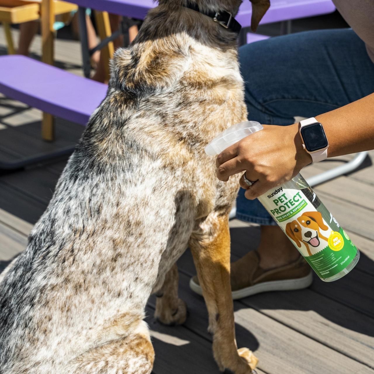 Pet Pest Protection Kit | Sunday Lawn Care