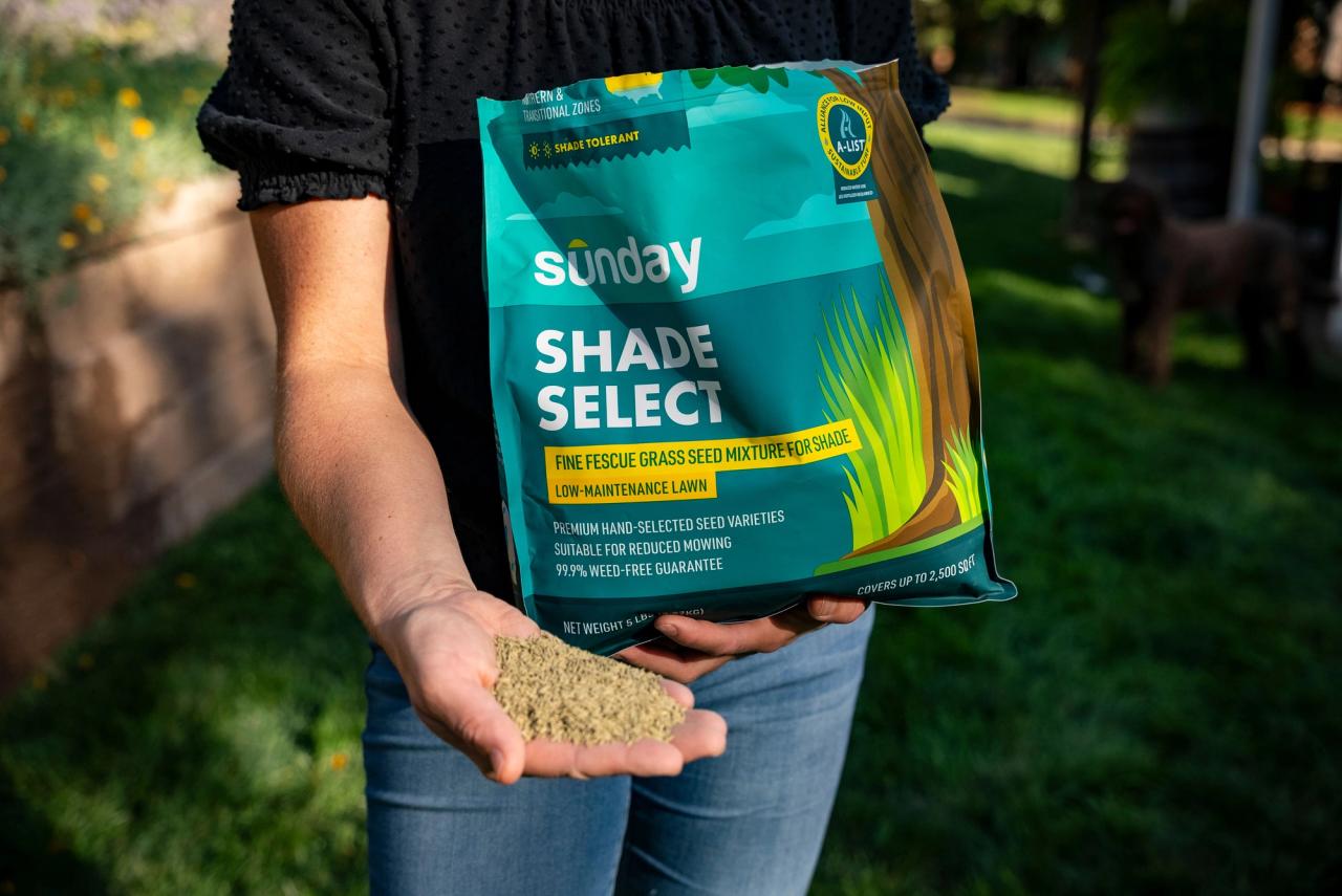 Shade Select Grass Seed | Sunday Lawn Care