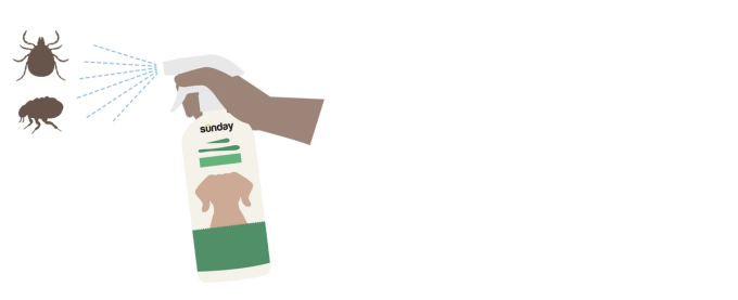 Pet Protect Bug Spray Instructions | Sunday Lawn Care