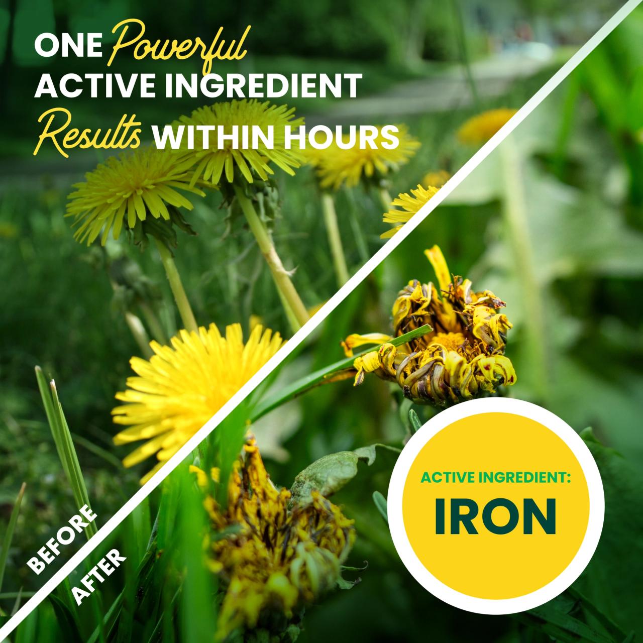 Dandelion Doom Lawn Weed Killer | Ready-to-Use Spot Treatment | Sunday ...