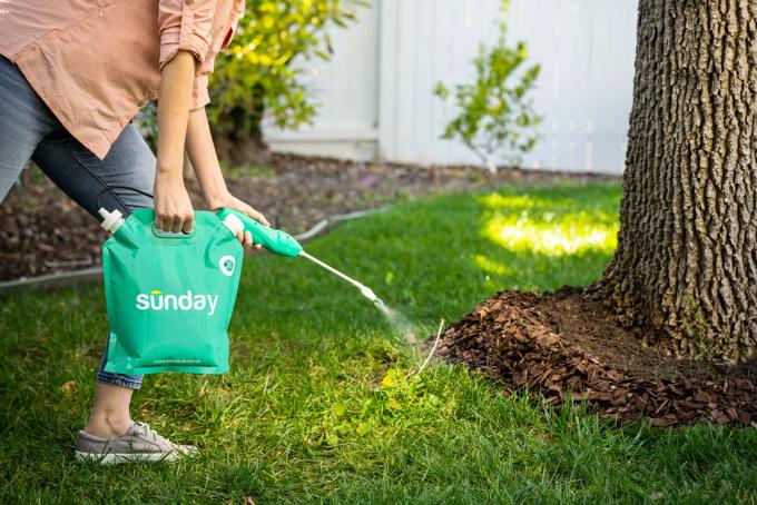Sunday Weed Control Products | Sunday Lawn Care