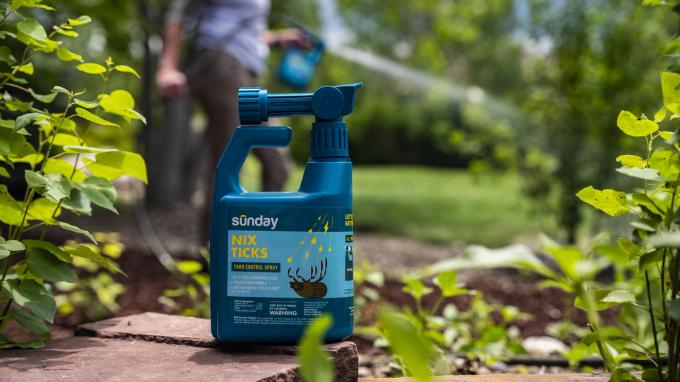Tick Control For Your Yard | Sunday Lawn Care