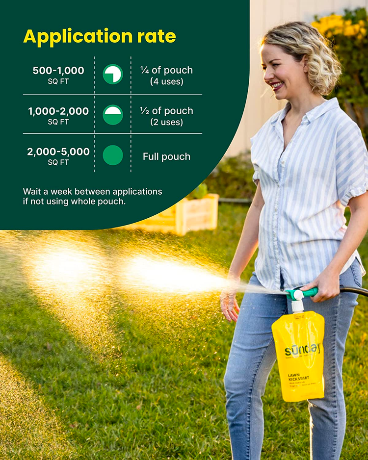 Texas Green Lawn Kit | Sunday Lawn Care