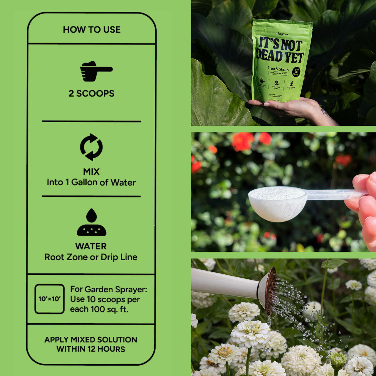 MitoGrow It’s Not Dead Yet Tree & Shrub Biostimulant (0.5 lb) | Sunday ...