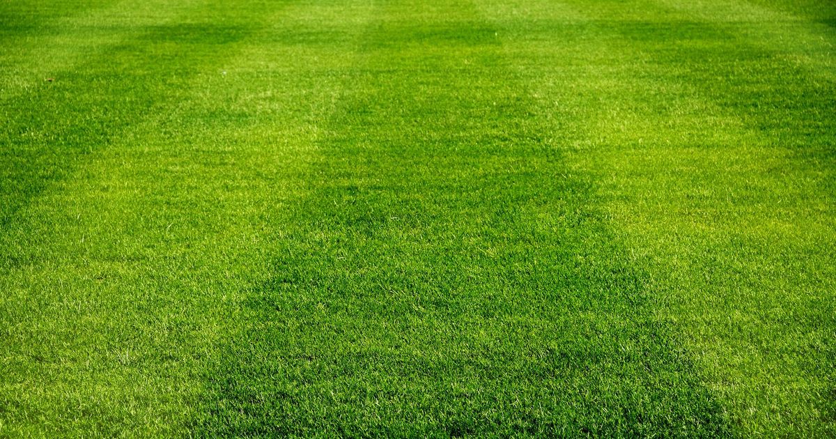 Sunday Lawn Care for Murrells Inlet, SC | 6,000+ 5-Star Reviews ...