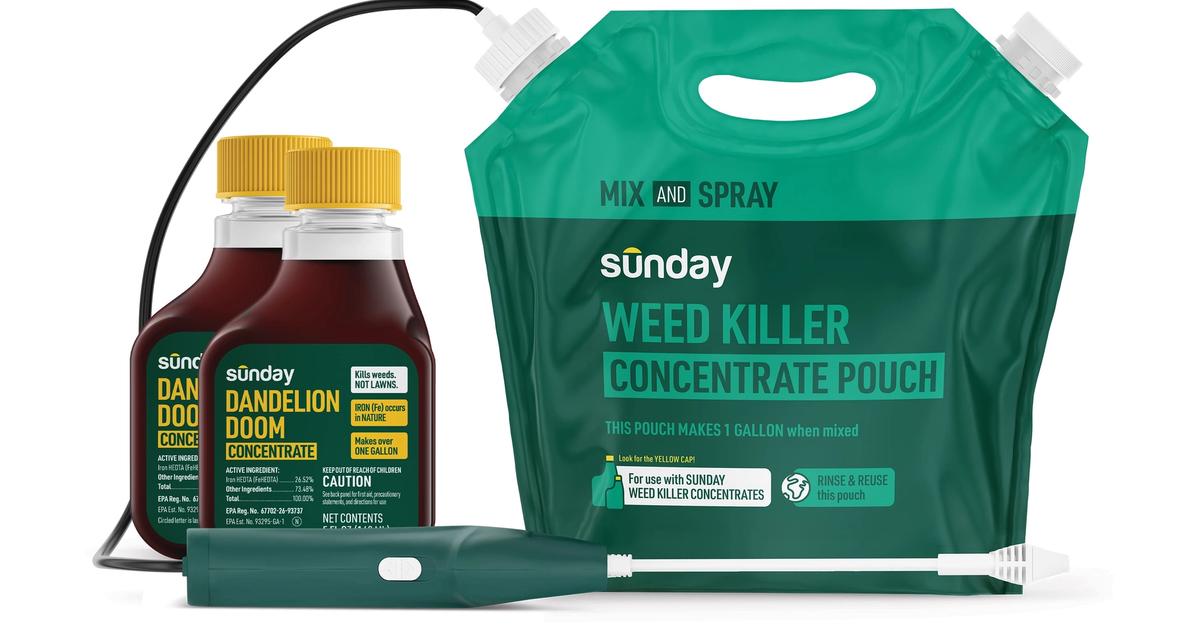Dandelion Doom Weed Killer Concentrate Starter 2-Pack | Sunday Lawn Care