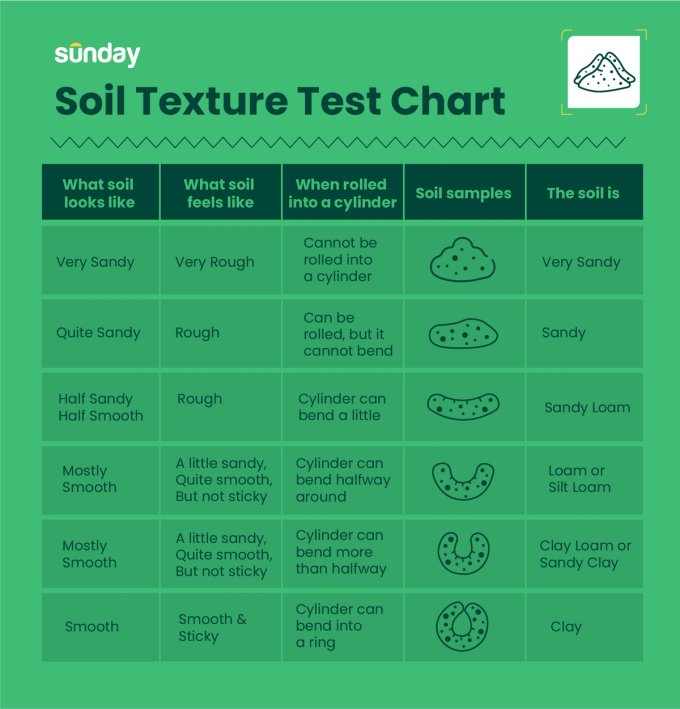 What Is Soil Texture? Definition and Tips to Improve It | Sunday Lawn Care