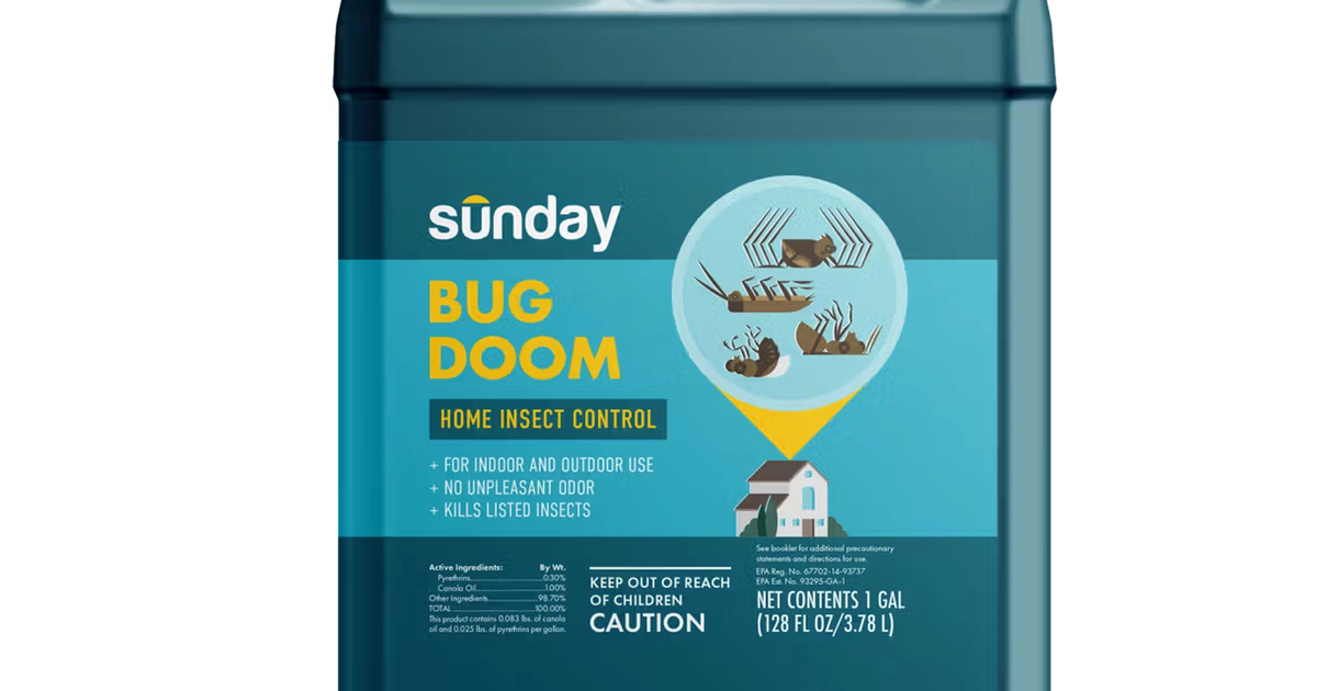 Bug Doom Home Insect Control Spray Gallon with Wand | Sunday Lawn Care
