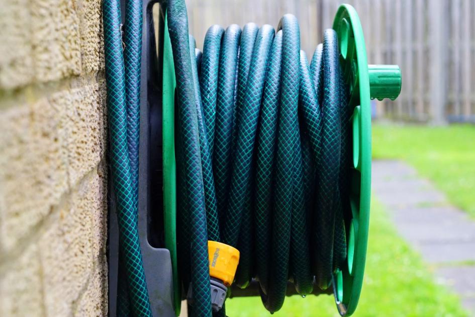 sunday-lawn-care