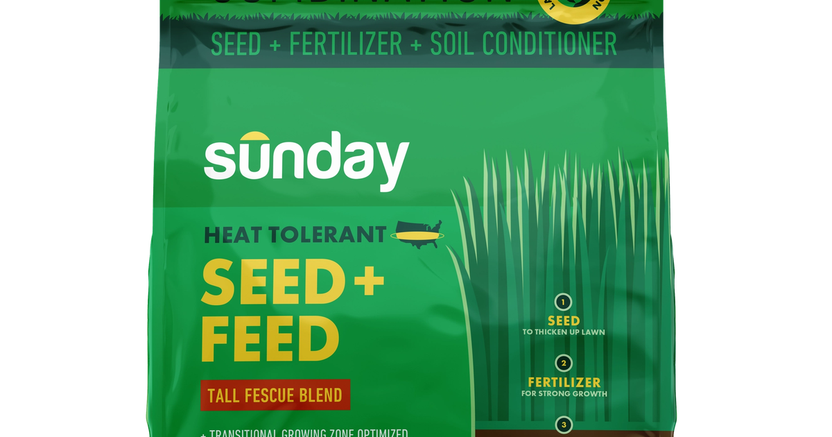 Heat Tolerant Seed + Feed, 10lb | Sunday Lawn Care