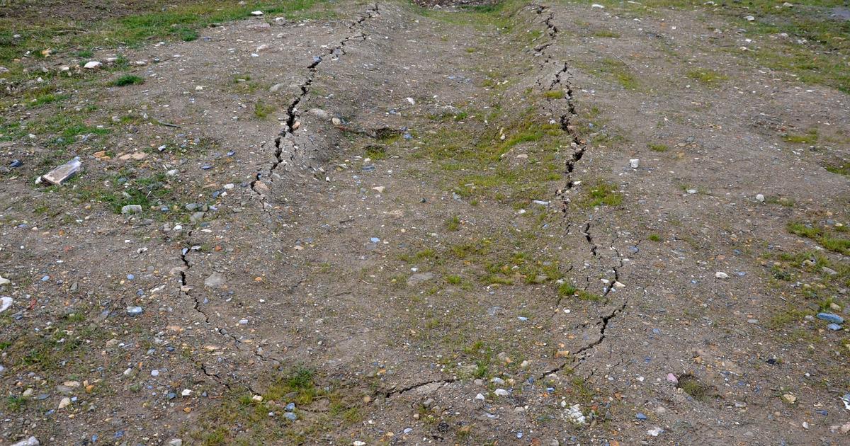 How to Fix Soil Compaction | Sunday Lawn Care