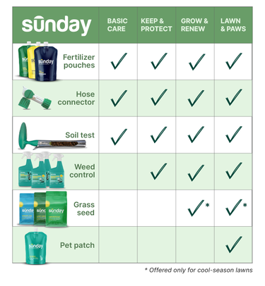 A Beginner's Guide to Lawn Care (Updated 2025) | Sunday Lawn Care