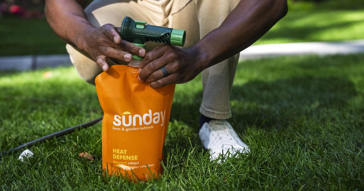 Guide to Sunday Sprayers: Matching the Perfect Sprayer to Every Product ...