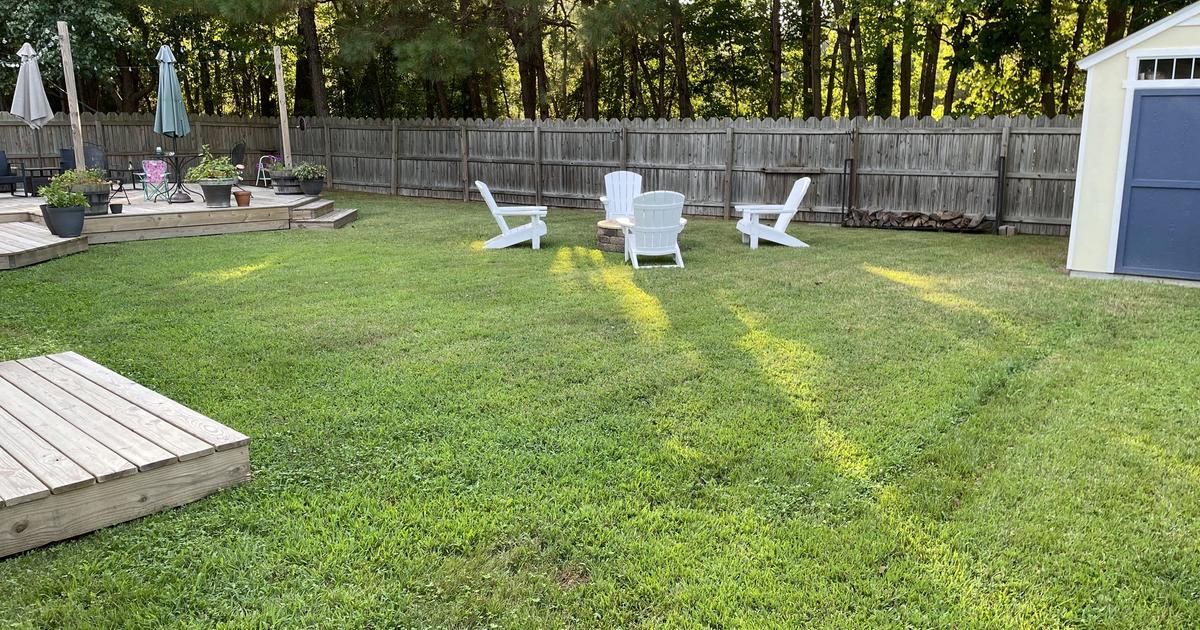 Lawn Care Basics: Your Free Step-by-Step Guide | Sunday Lawn Care