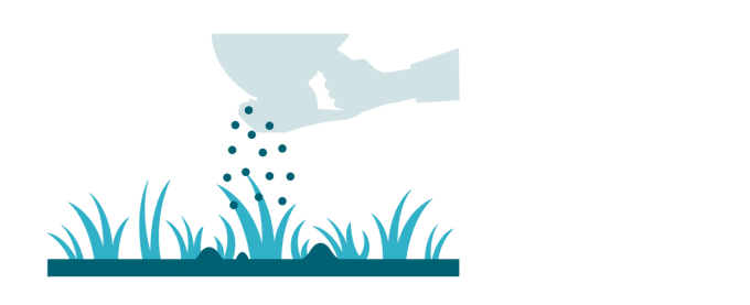 Sunday Ant Adios Instructions | Sunday Lawn Care