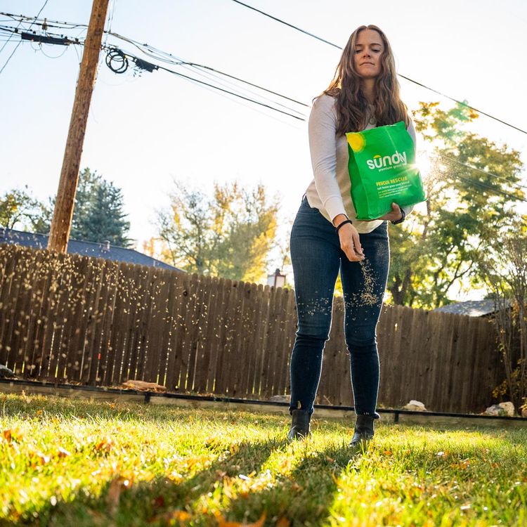 Start Your Lawn from Scratch Kit | Sunday Lawn Care