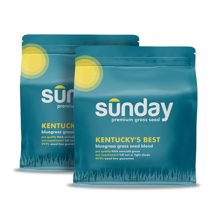 Kentucky's Best Grass Seed (2-pack) | Sunday Lawn Care