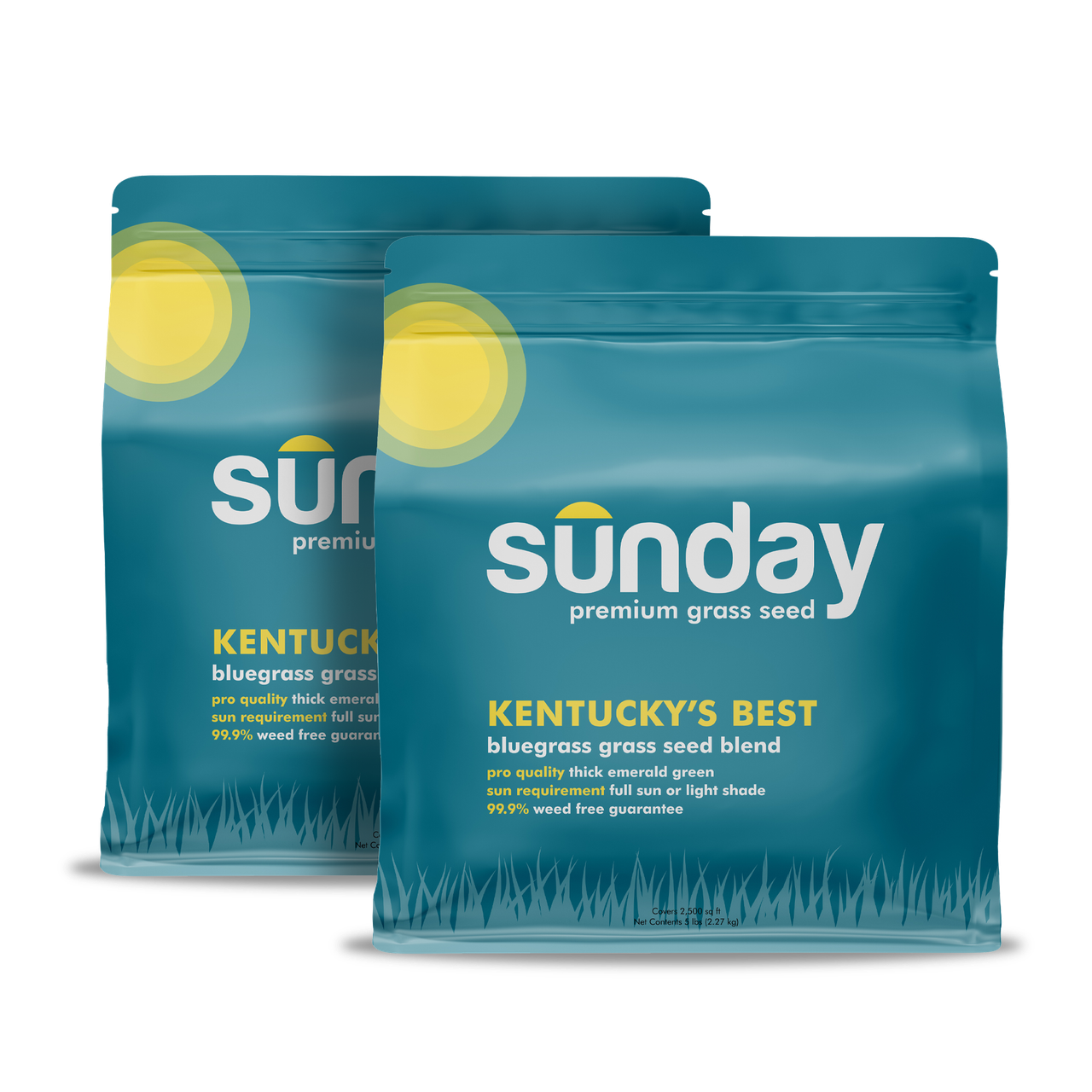 Kentucky's Best Grass Seed (2-pack) | Sunday Lawn Care