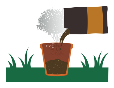 Sunday Shrub Planting Guide | Sunday Lawn Care