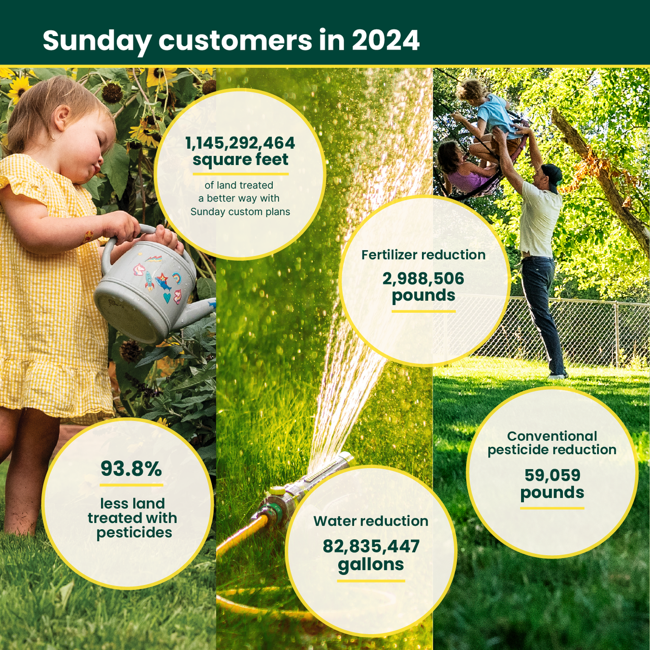 Spring lawn fertilizer and weed control | Sunday Lawn Care