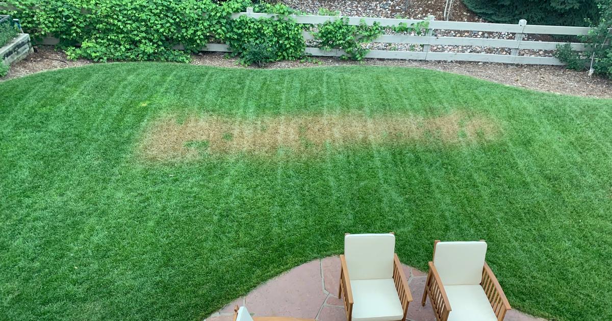 Slip-and-Slide Grass Recovery | Sunday Lawn Care