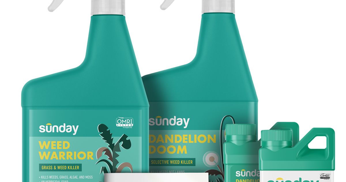 Sunday Lawn Care