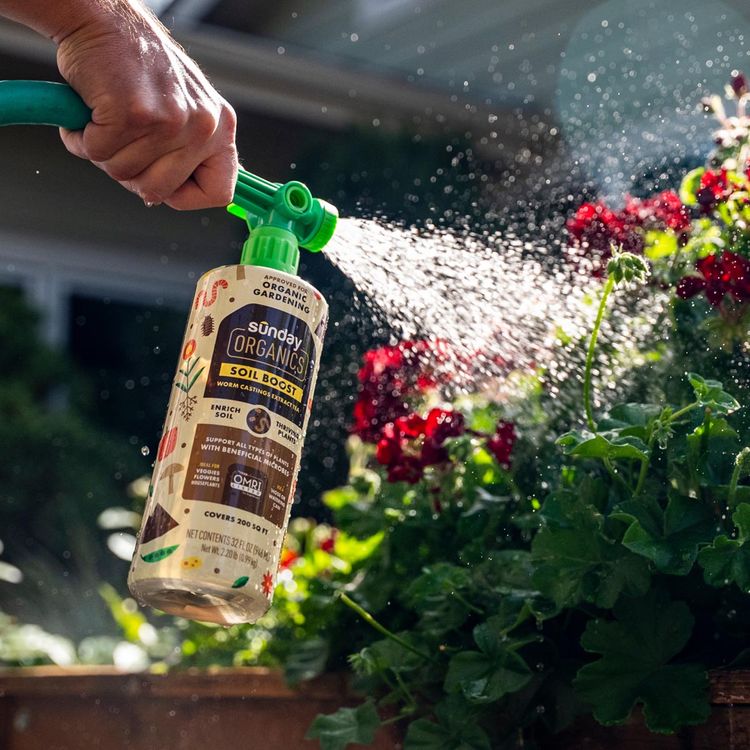 Tree & Landscape Kit | Sunday Lawn Care