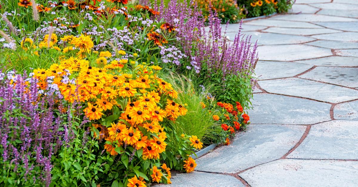 Outdoor Flowers by Color | Sunday Lawn Care