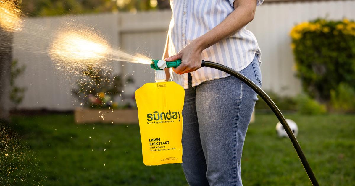 Sunday Spring Starter Box | Sunday Lawn Care